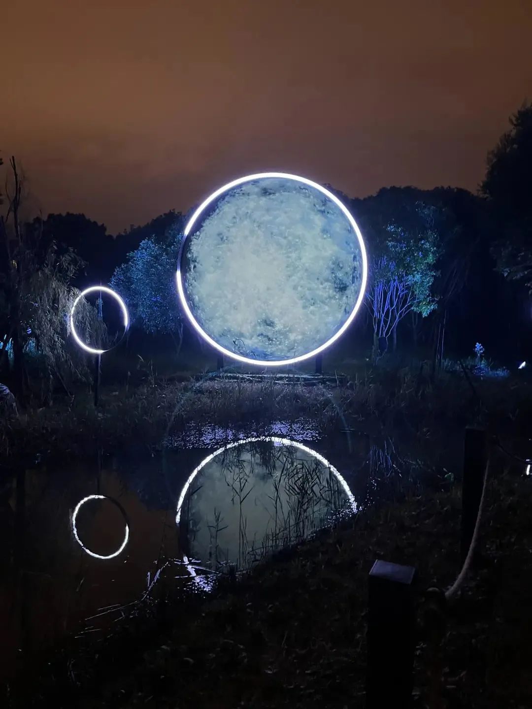 国内首个Lumina夜游项目“焕光森林东方曦望”（ORIENS LUMINA）正式开放！